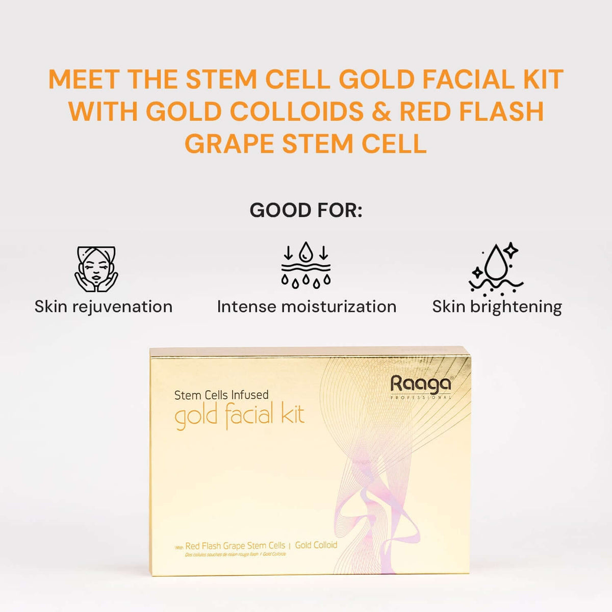 Facial Kit – Raaga Professional